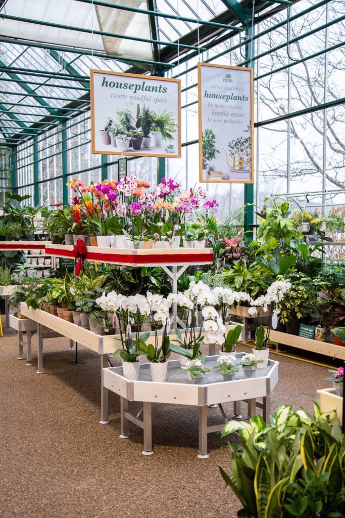 Petitti Bainbridge Township | Petitti Garden Centers