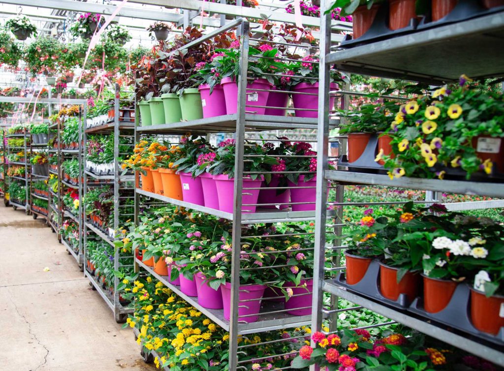 Best Local Garden Center | Petitti Garden Centers