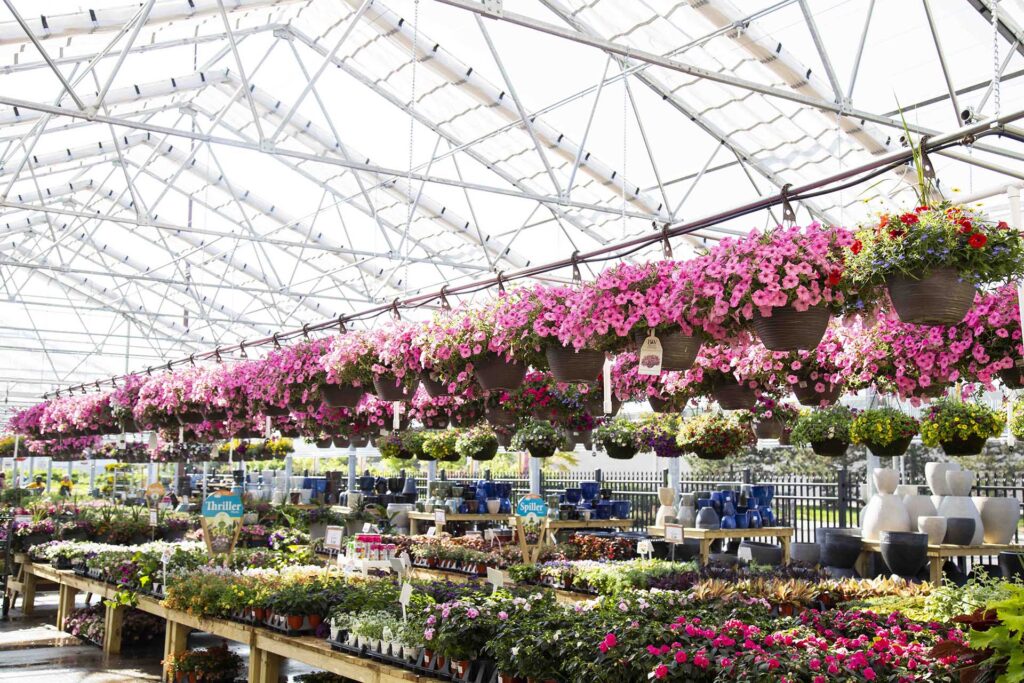 Petitti Canton-Jackson Twp | Petitti Garden Centers