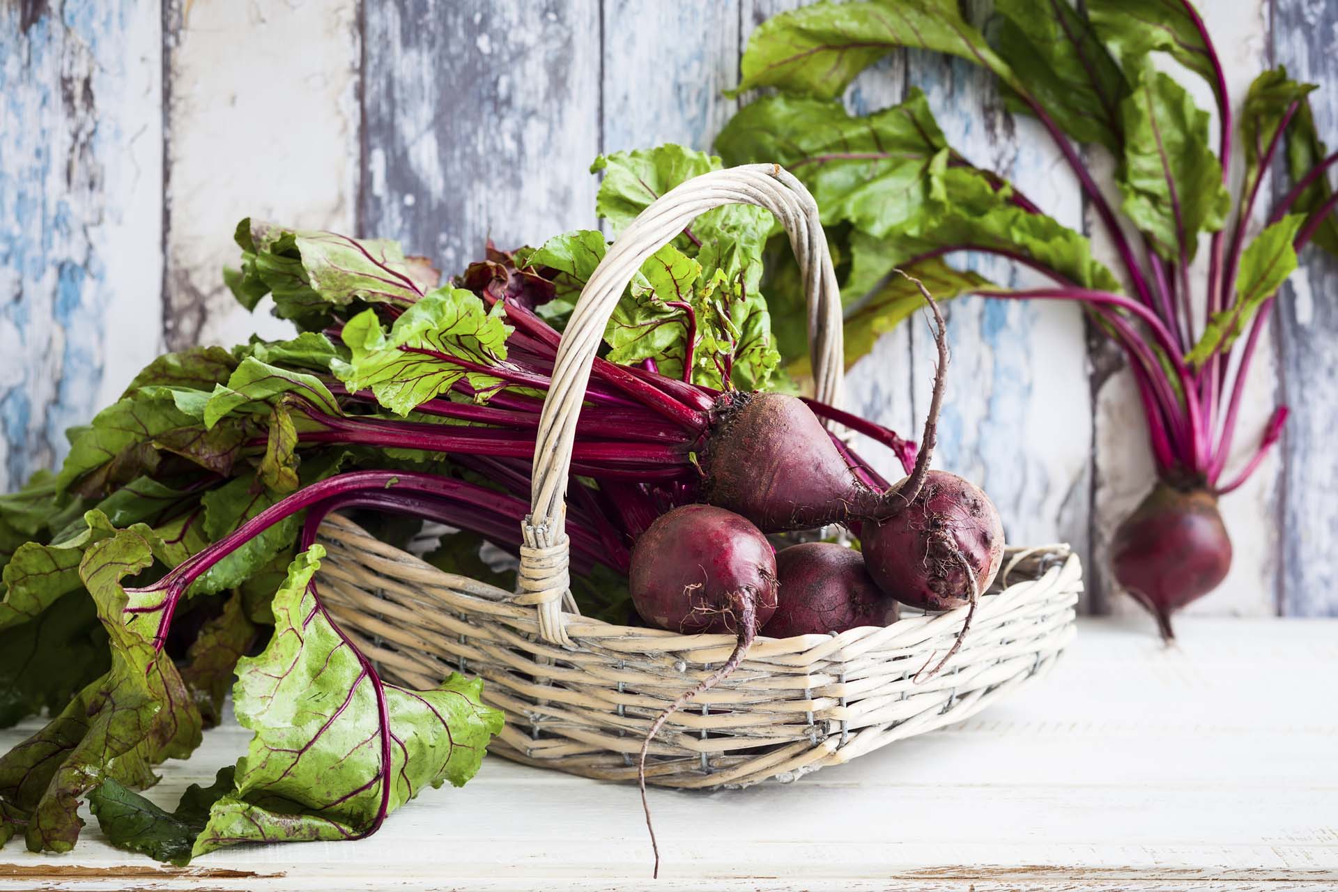 Beets ‘Red Ace’ | Petitti Garden Centers