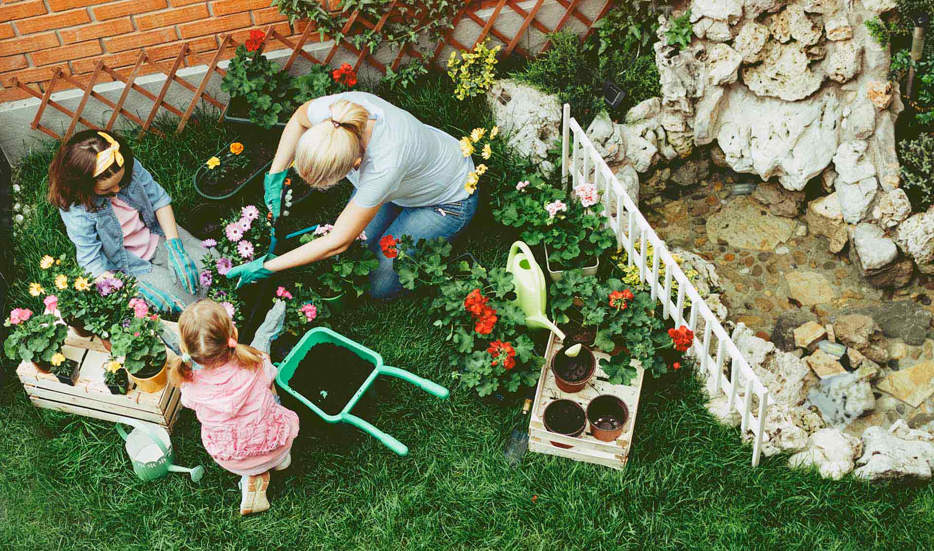 Gardening FAQs | Petitti Garden Centers