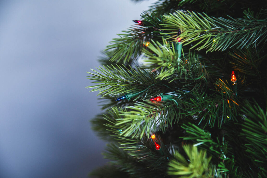 Life-Like Christmas Trees | Petitti Garden Centers