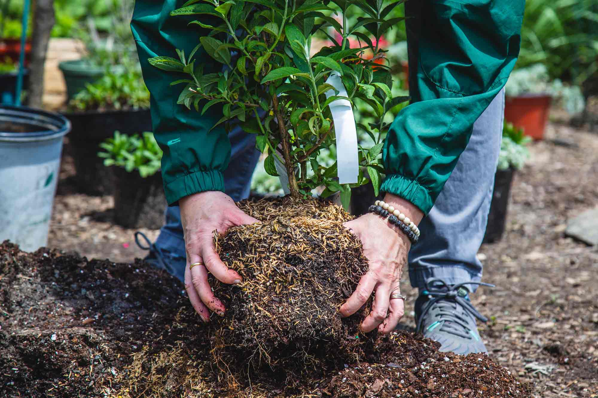 Six Steps for Success | Petitti Garden Centers