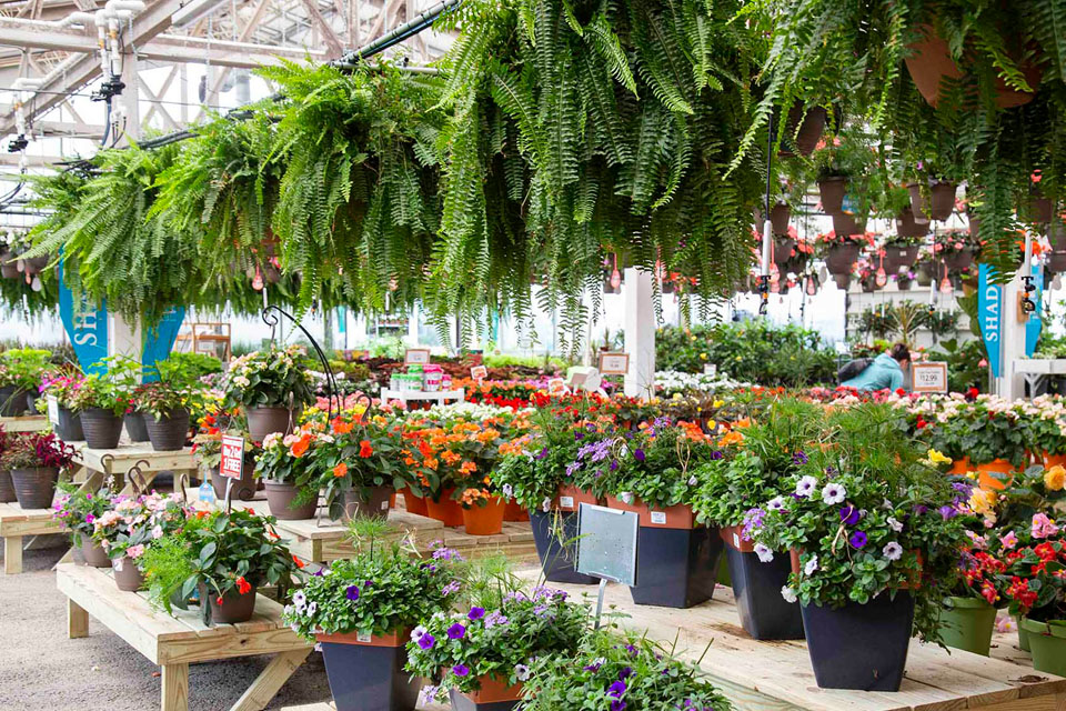 Petitti Family History | Petitti Garden Centers