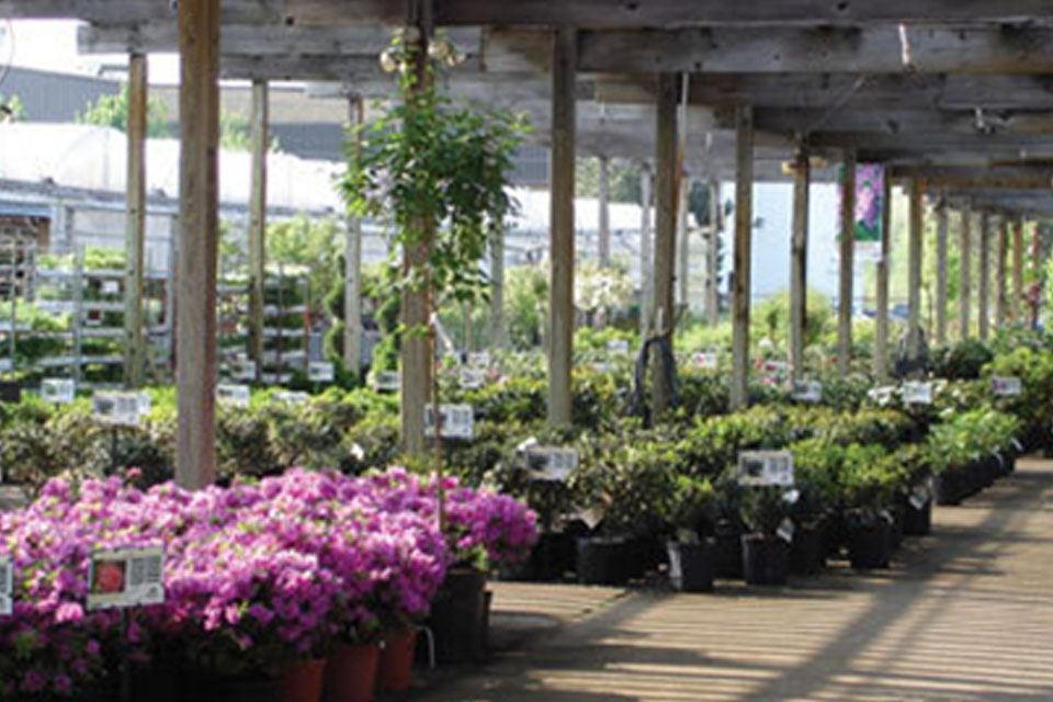 Petitti Family History | Petitti Garden Centers