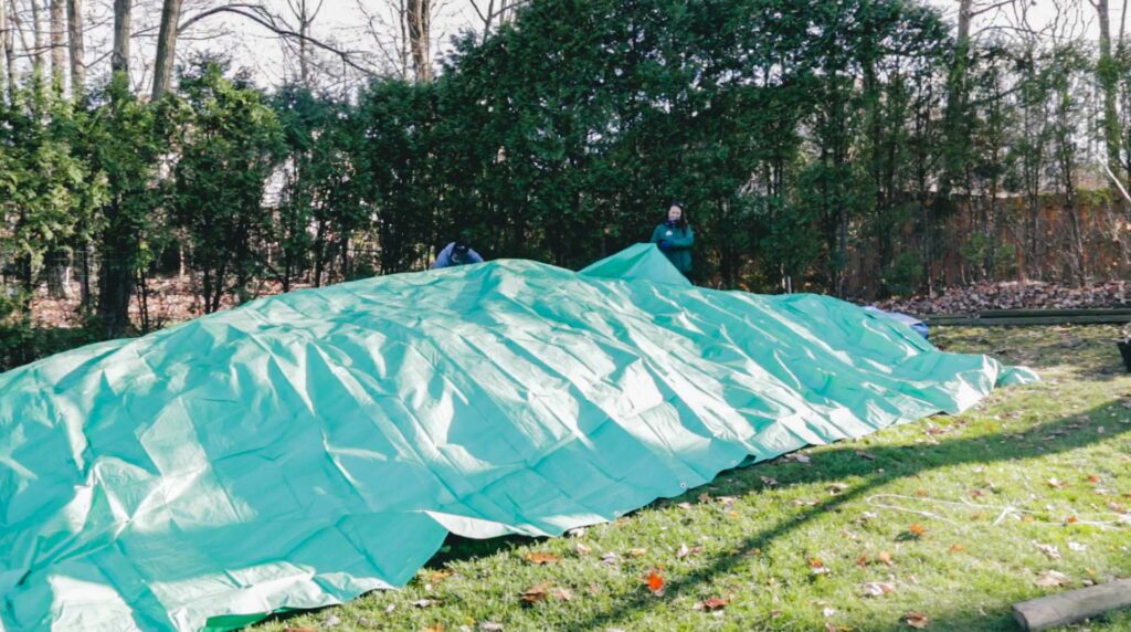 How to Overwinter Fig Trees in Ohio | Petitti Garden Centers