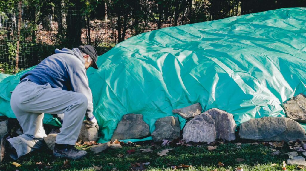 How to Overwinter Fig Trees in Ohio | Petitti Garden Centers