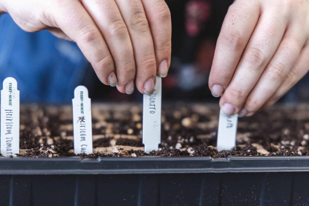 Six Steps for Success: Seed Starting | Petitti Garden Centers