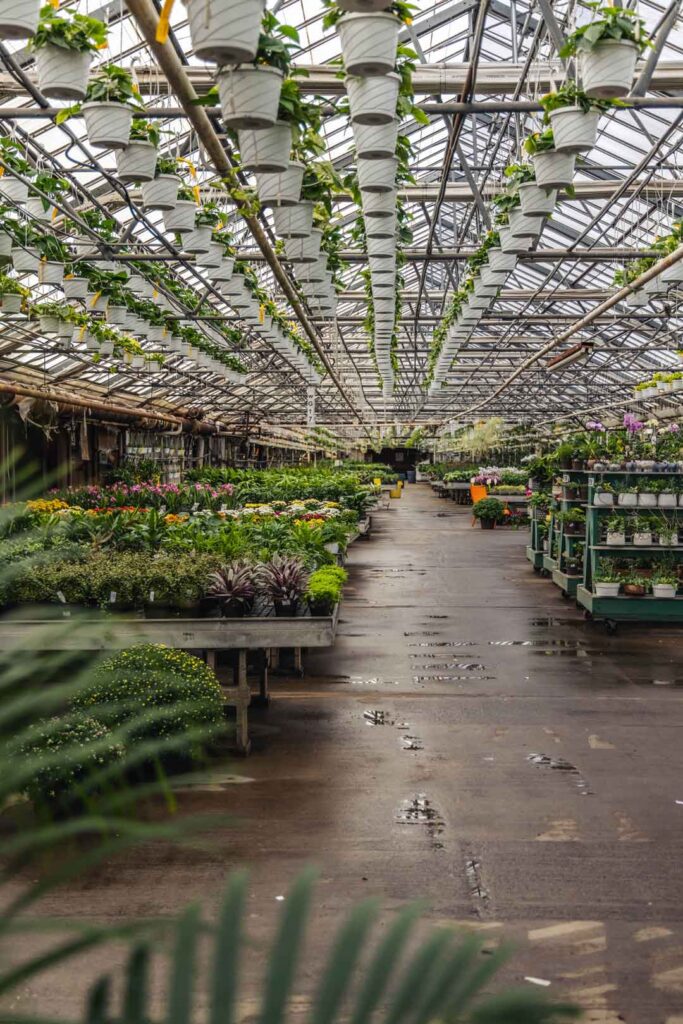 Best Local Garden Center | Petitti Garden Centers