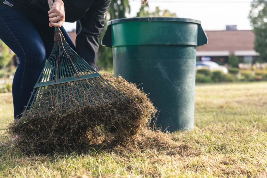 Seeding the Lawn | Petitti Garden Centers