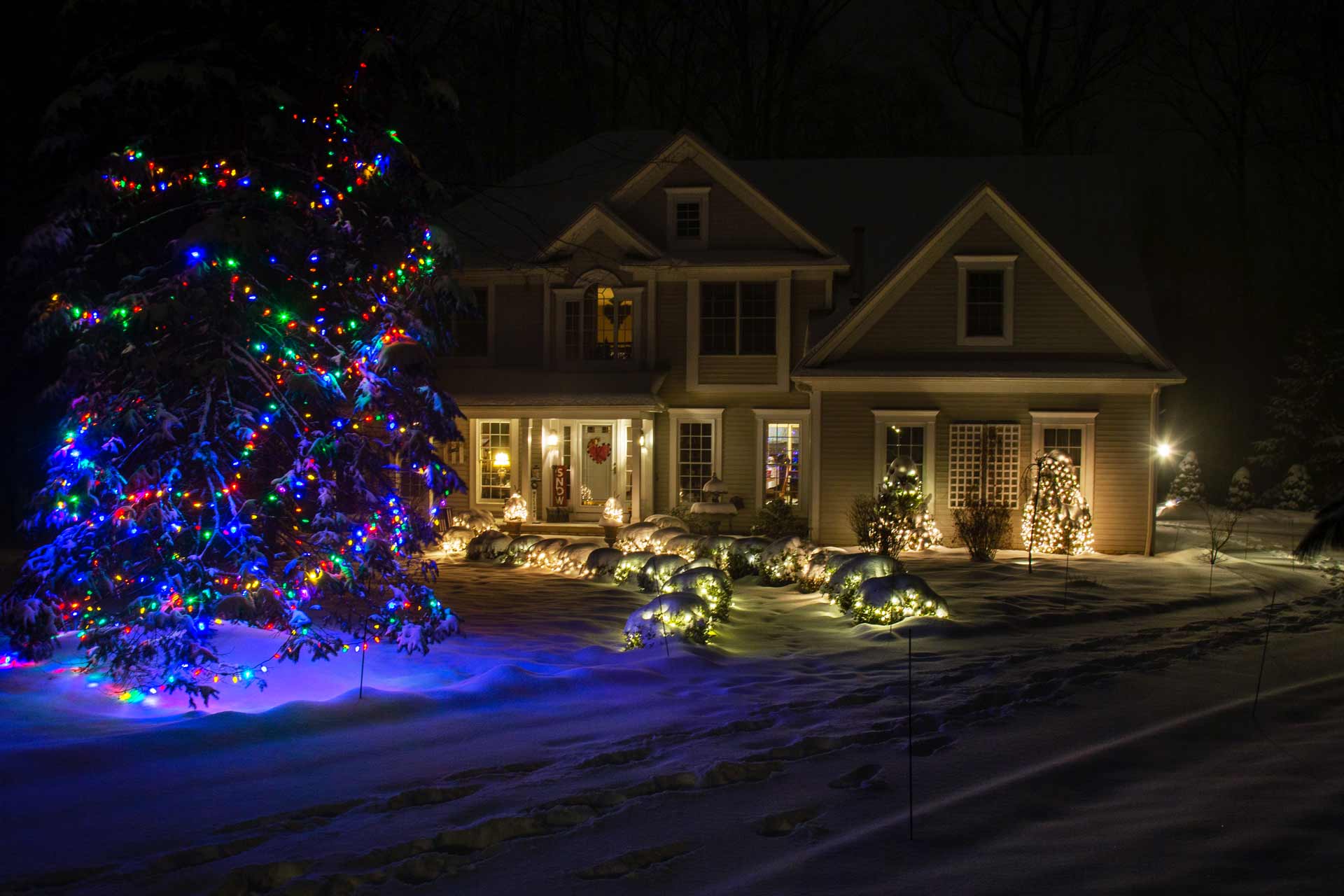 Professional Grade LED Lights. | Petitti Garden Centers