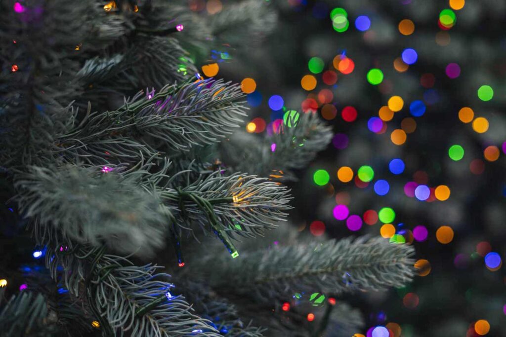 Life-Like Christmas Trees | Petitti Garden Centers